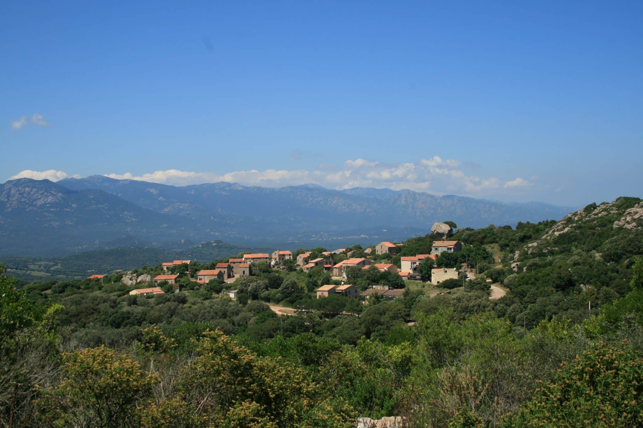 Sotta : Découvrez le Charme Authentique d'un Village Corse